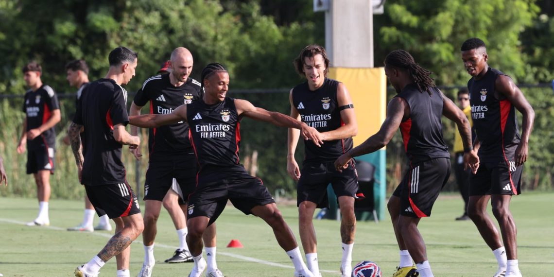 How Do We View the Rise of Emerging Sports on the Global Stage ...